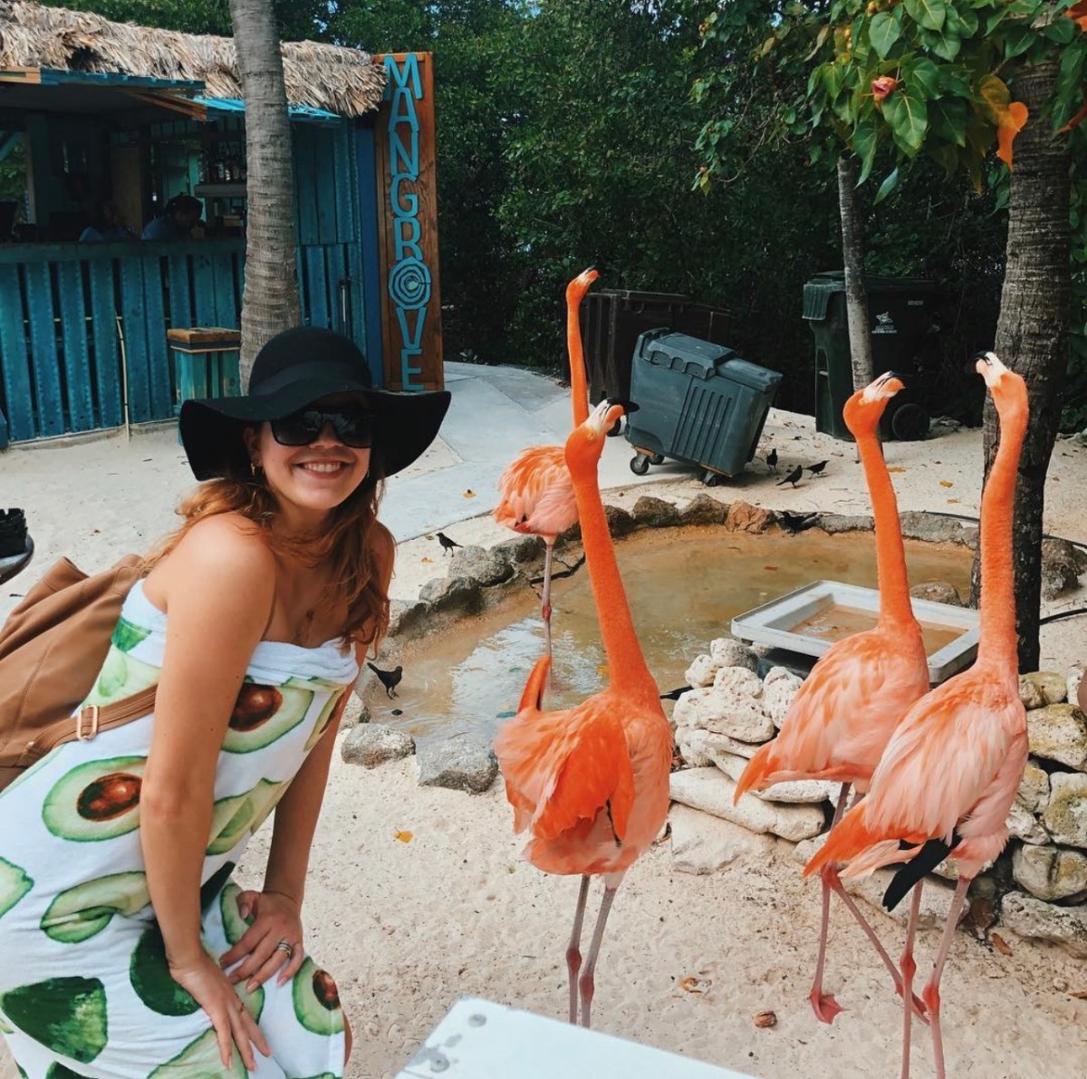 Extensive Aruba Travel Guide + 10 Day Itinerary – Popular Attractions ...